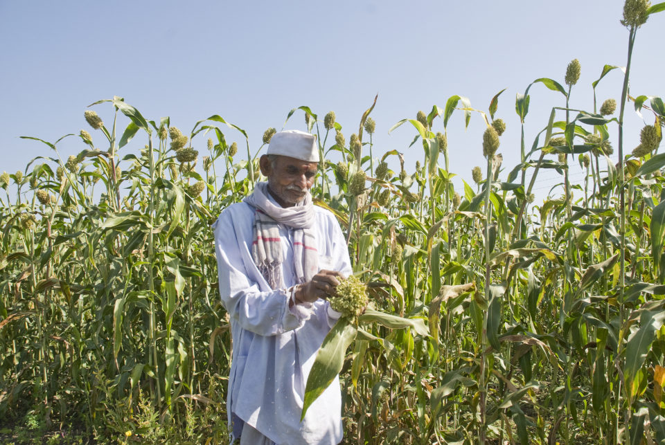 International Crops Research Institute for the Semi-Arid Tropics ...