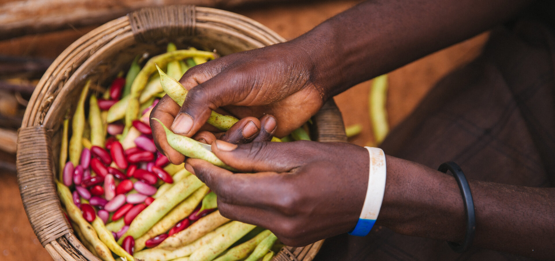 International Food Policy Research Institute (IFPRI) - CGIAR