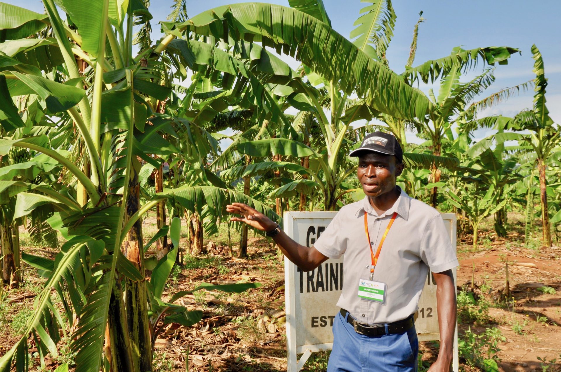 International Institute of Tropical Agriculture (IITA) - CGIAR