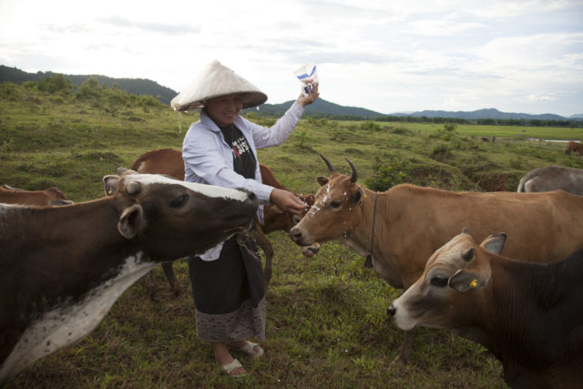 International Livestock Research Institute (ILRI) - CGIAR