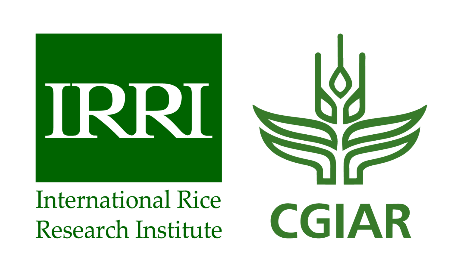 International Rice Research Institute (IRRI) - CGIAR