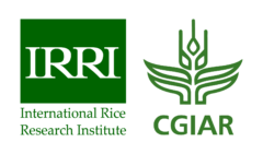 International Rice Research Institute (IRRI) - CGIAR