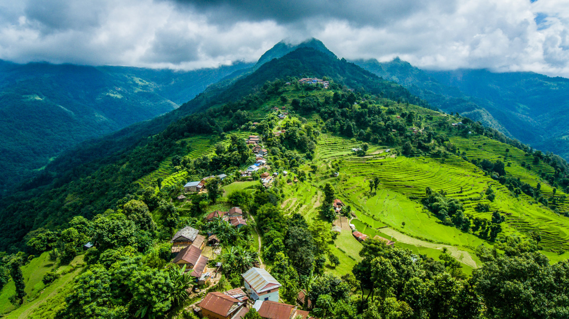 International Rice Research Institute (IRRI) - CGIAR