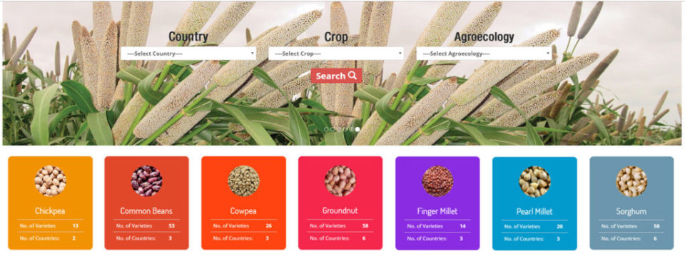 Now, get critical seed data in one click - CGIAR