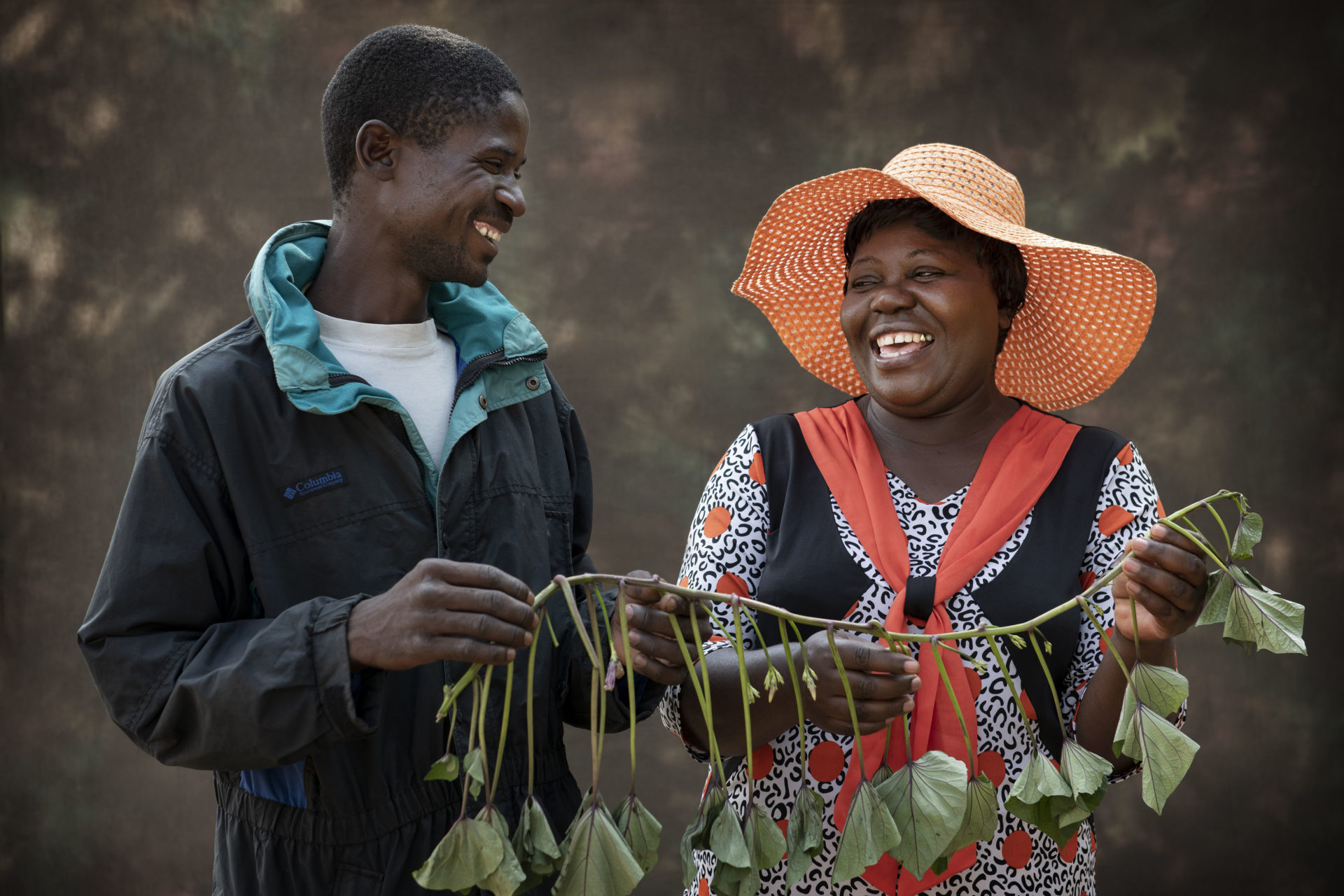 Sweet returns for sweet potato farmers in Malawi - CGIAR