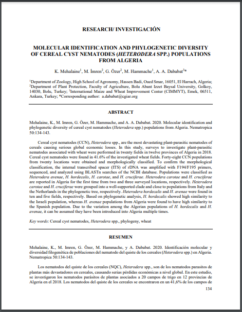 Molecular identification and phylogenetic diversity of cereal cyst ...