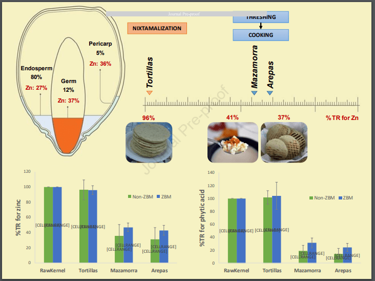 Effect of maize processing methods on the retention of minerals, phytic ...