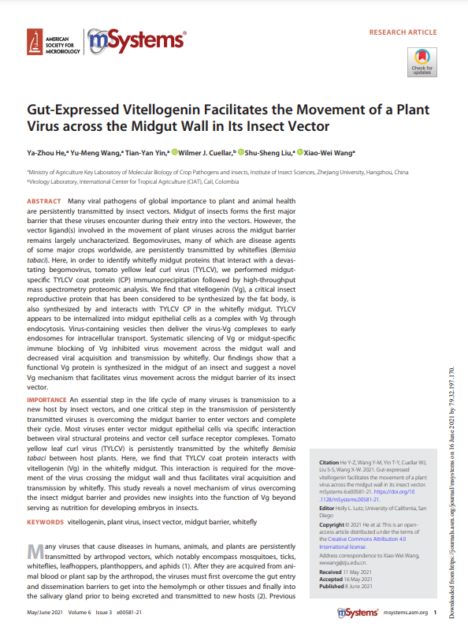 Gut-expressed vitellogenin facilitates the movement of a plant virus ...