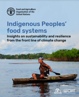 Indigenous peoples’ food systems: Insights on sustainability and ...