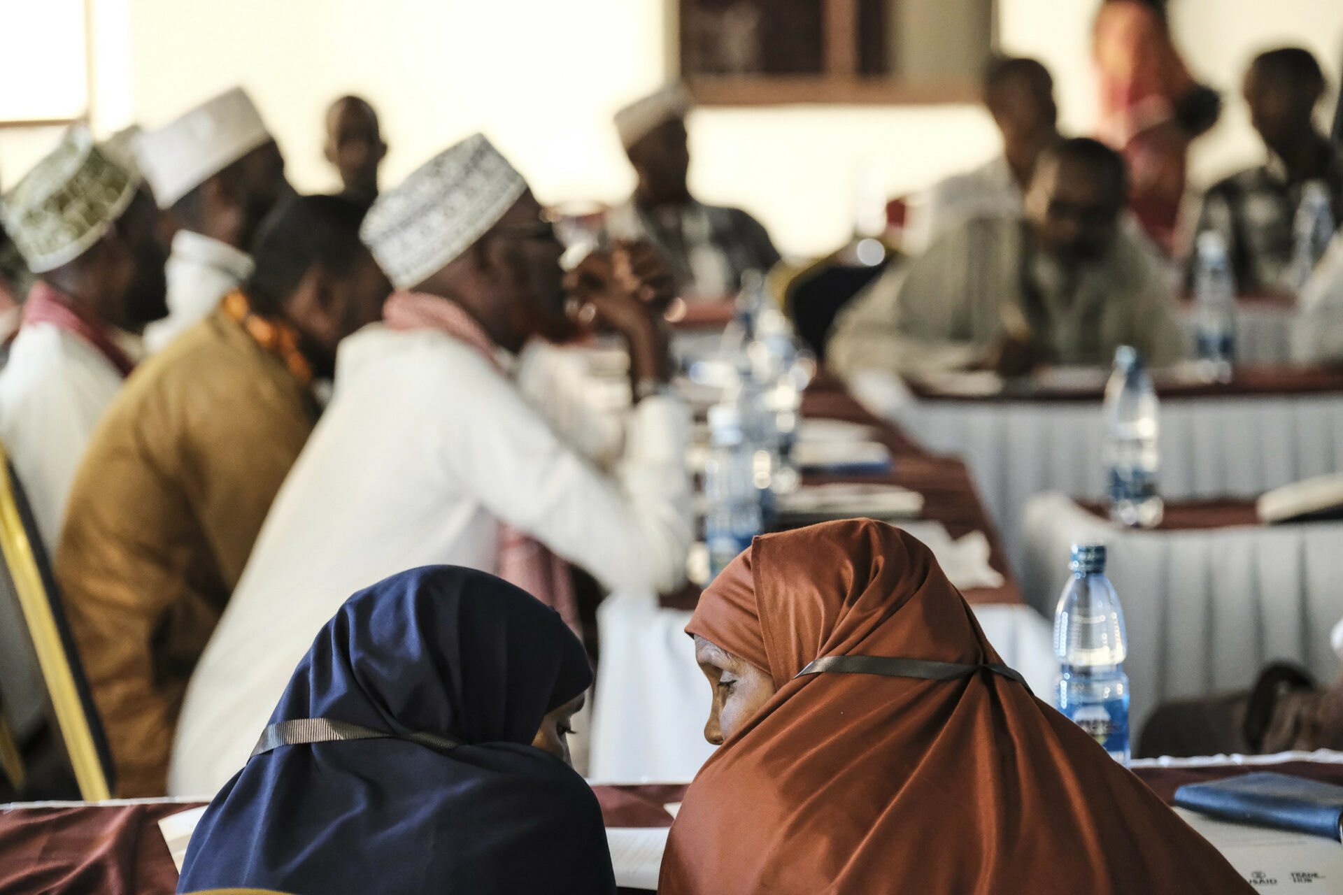 Mother of Grains: what millet teaches us about biodiversity - CGIAR