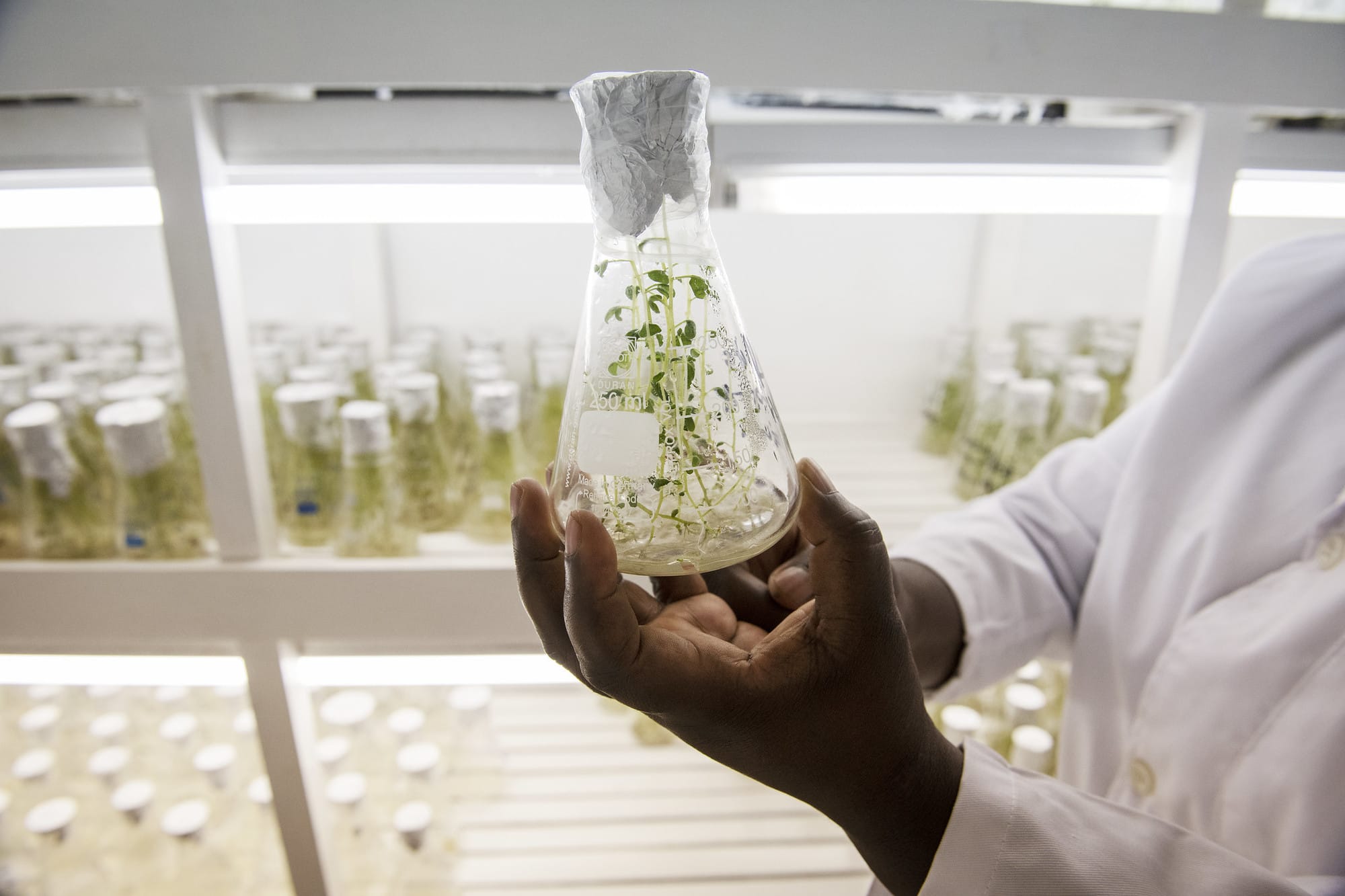 CGIAR: Science for humanity's greatest challenges