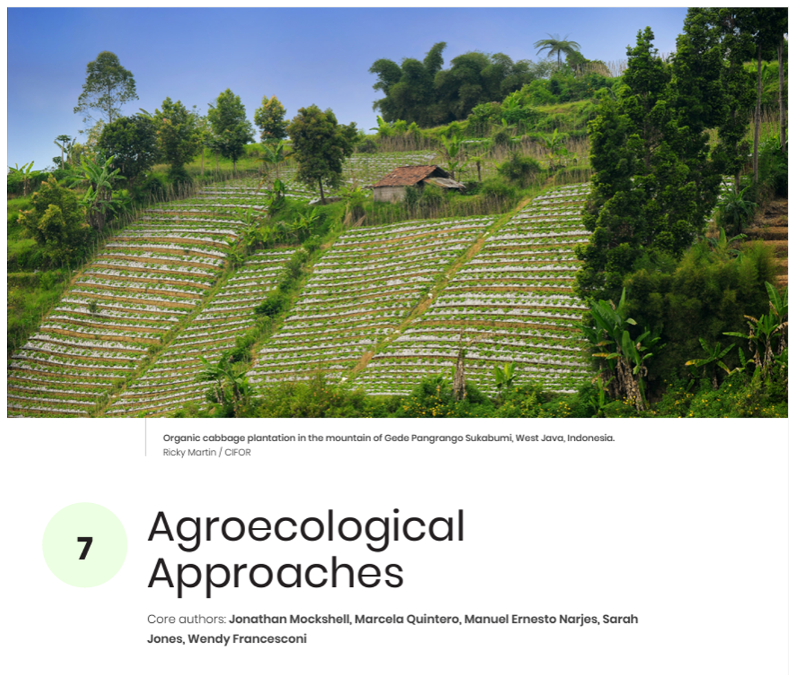 Agroecology - CGIAR