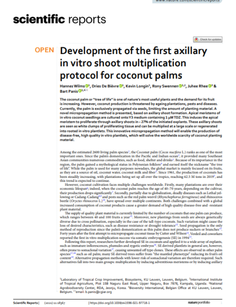 Development of the first axillary in vitro shoot multiplication ...