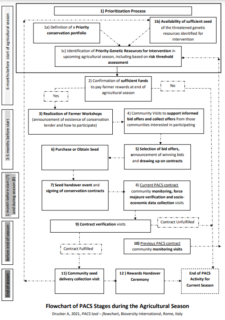 Flowchart of PACS stages through the agricultural season - CGIAR
