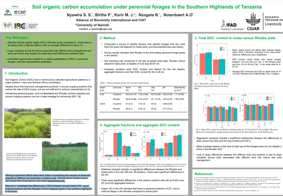 Soil organic carbon accumulation under perennial forages in the ...