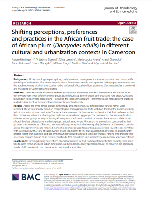 Shifting perceptions, preferences and practices in the African fruit ...