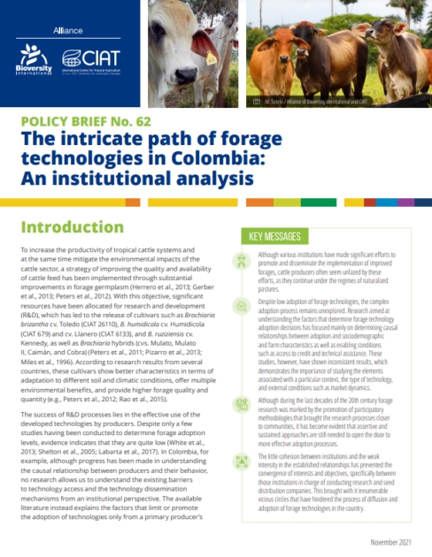 The intricate path of forage technologies in Colombia: An institutional ...