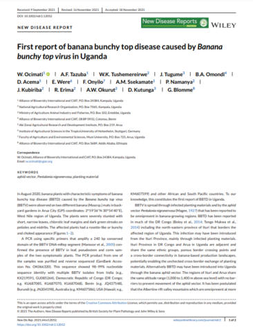 First report of banana bunchy top disease caused by Banana bunchy top ...