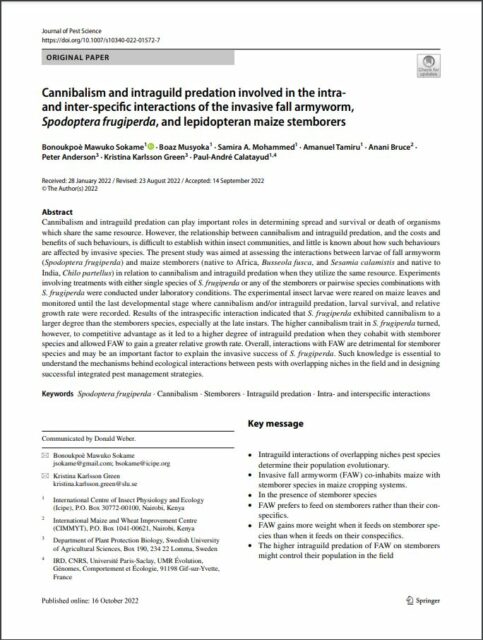Cannibalism and intraguild predation involved in the intra- and inter ...