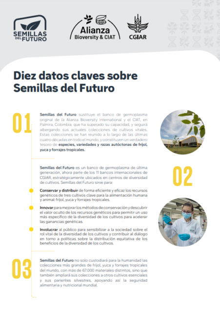 Diez datos claves sobre Semillas del Futuro - CGIAR