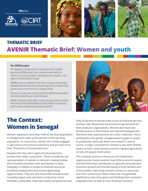 AVENIR Thematic Brief: Women and youth - CGIAR