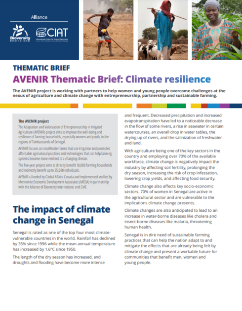 AVENIR Thematic Brief: Climate resilience - CGIAR