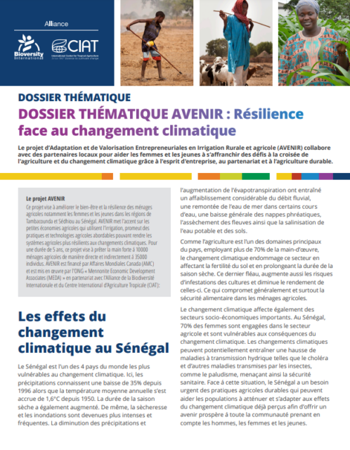 Dossier thématique AVENIR : Résilience face au changement climatique - CGIAR