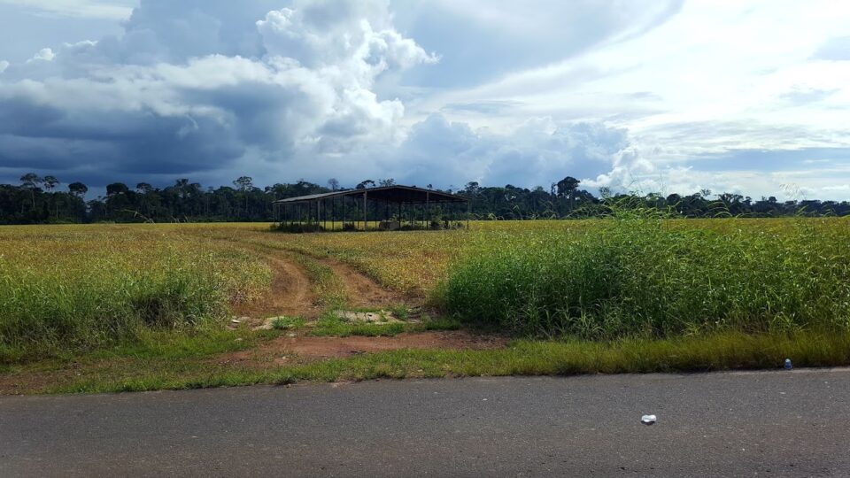 Ask the Researchers: From land sparing to land sharing, how do ...