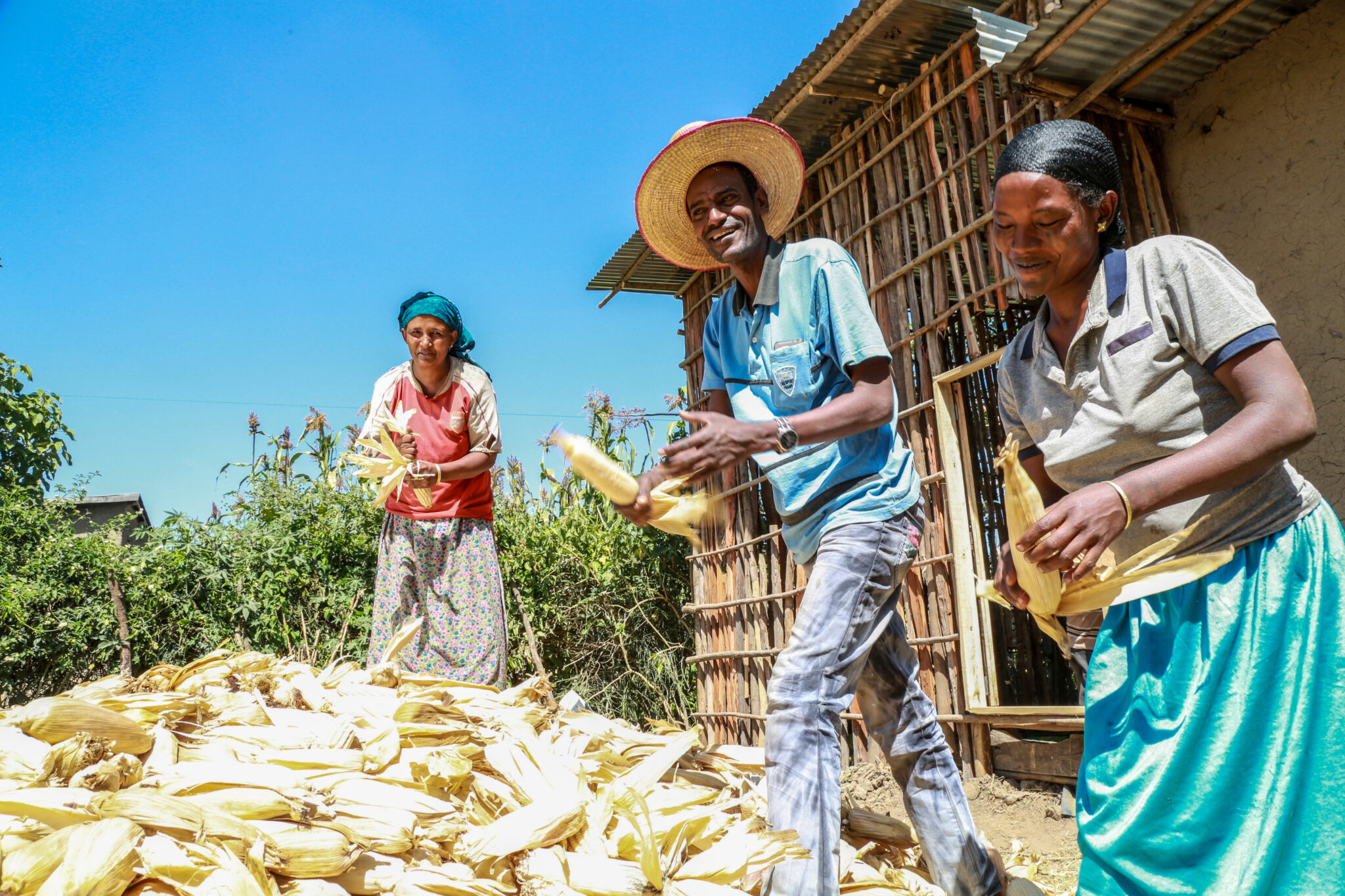Special issue on gender research in agriculture highlights CIMMYT’s ...