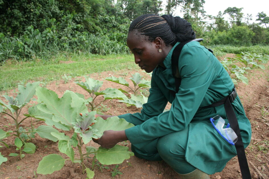 CGIAR: Science for humanity's greatest challenges