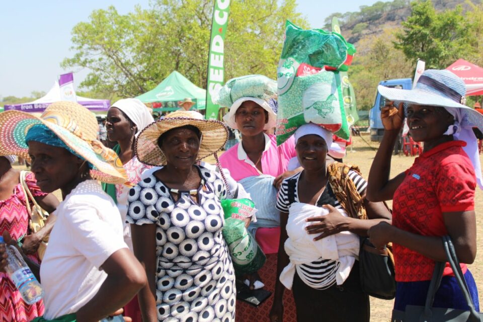 CIMMYT project helps educate farmers in Zimbabwe on seed practices and ...