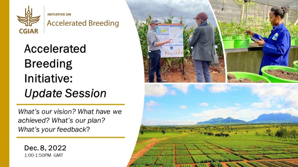Accelerated Breeding Initiative: Update Session - CGIAR