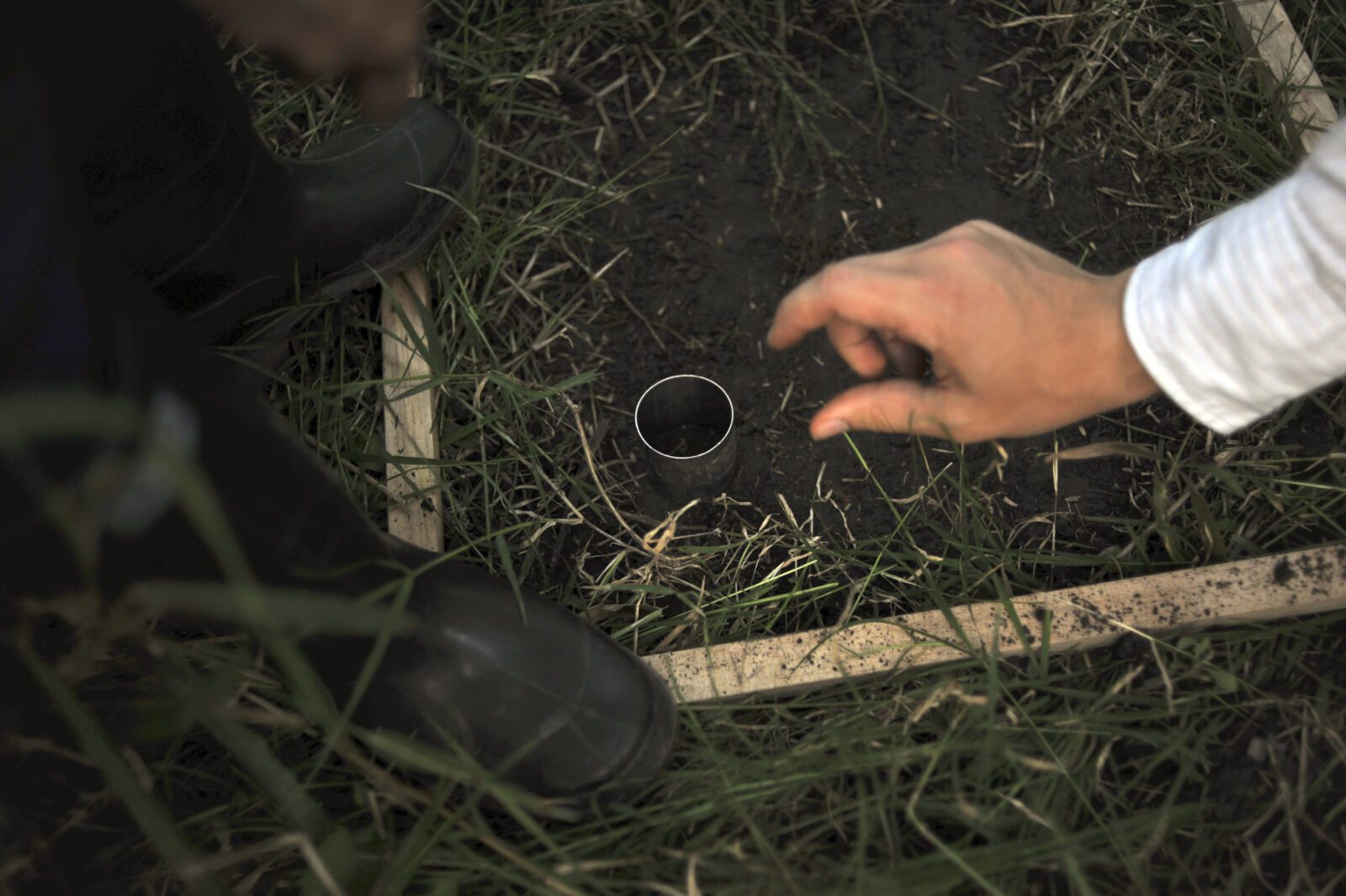 Mitigate+ at COP 27: Let’s talk about low-emission food systems! - CGIAR