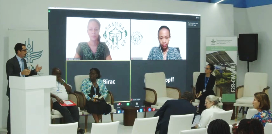 CGIAR in Africa: Accelerating the delivery of science-based innovations for climate resilience ...