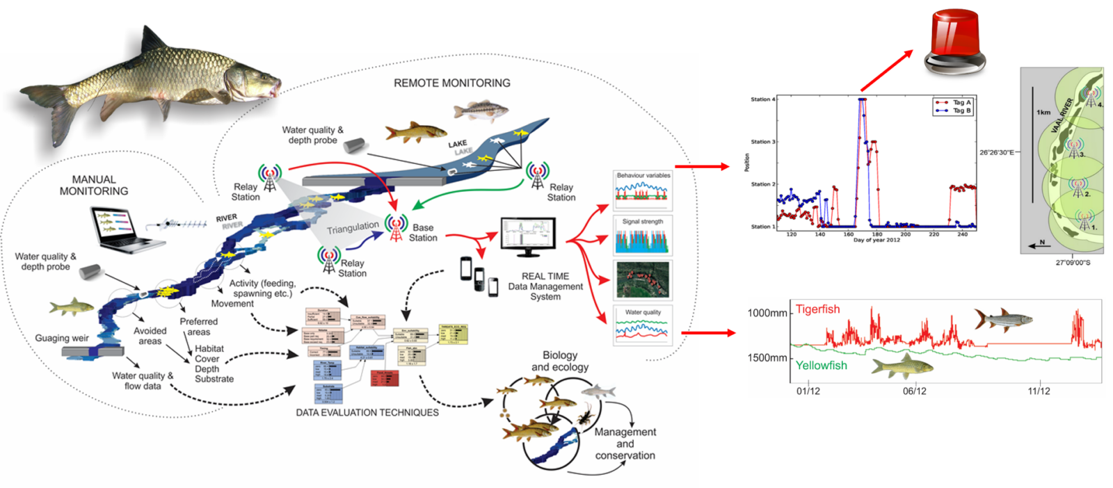 Digital innovation in water quality monitoring: Fishing for solutions ...