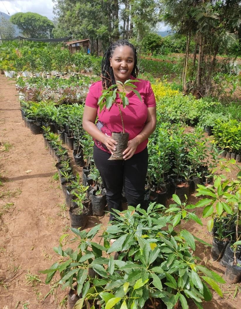 Supporting the development of agroecological business models by linking ...