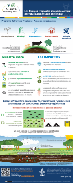 Los forrajes tropicales son parte central del futuro alimentario ...