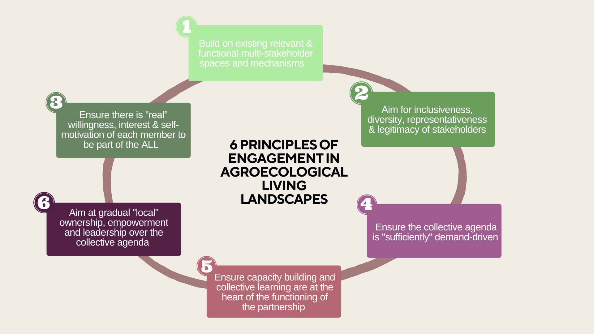 Engaging with stakeholders and establishing Agroecological Living ...
