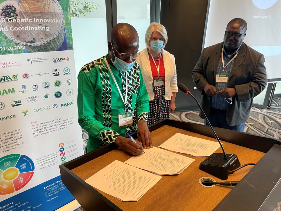 Five ways CGIAR accelerated crop breeding in 2022 | CGIAR System