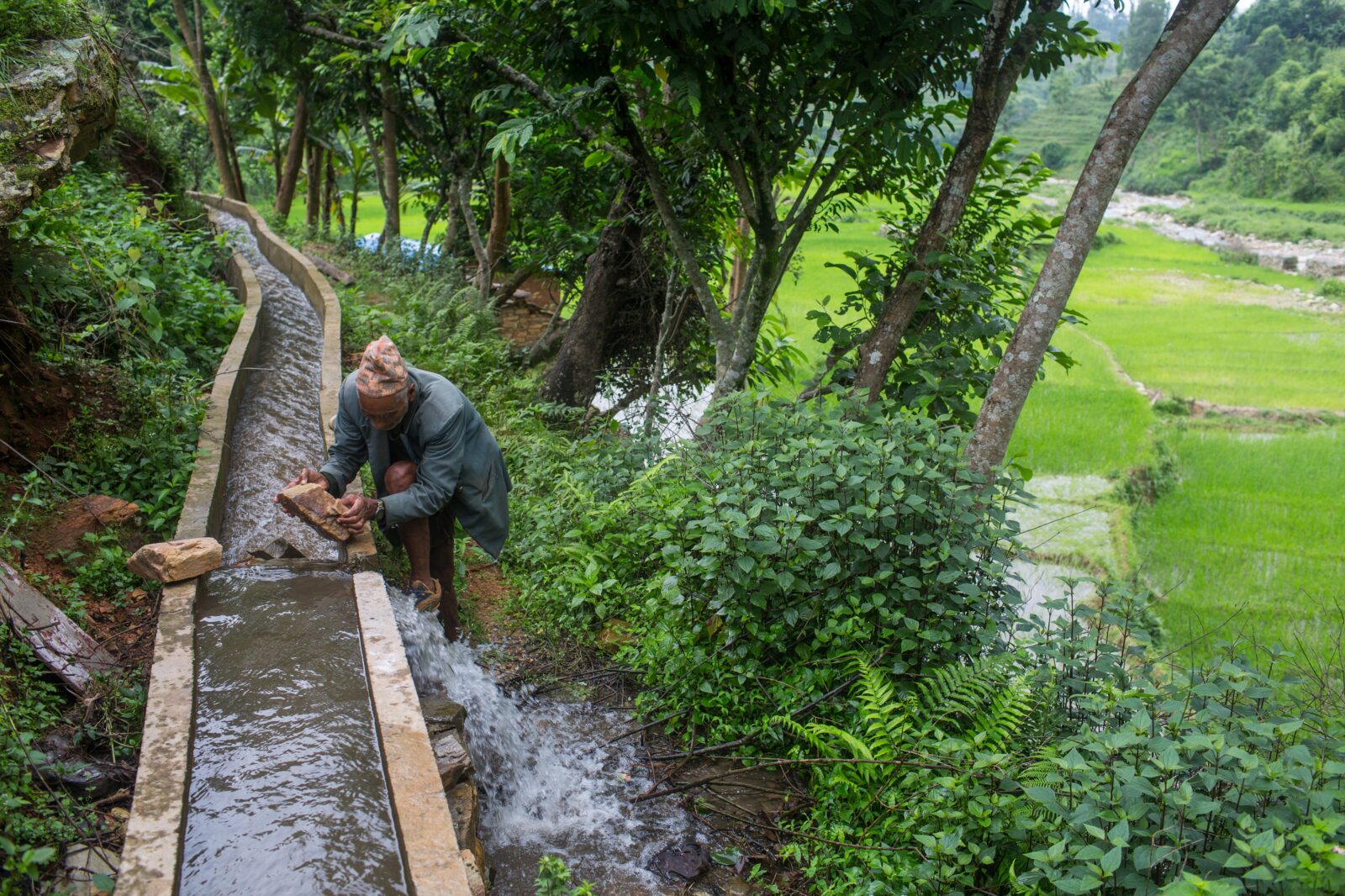 More than a drop in the bucket: addressing food security in Nepal ...