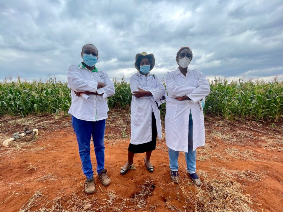 Accelerated Breeding - CGIAR