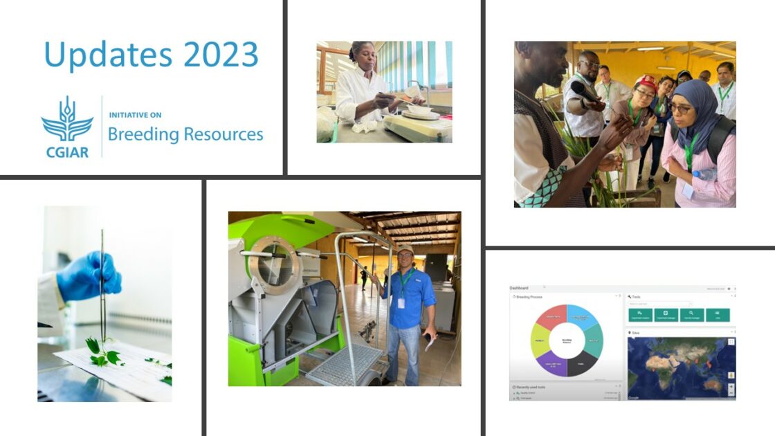 Breeding Resources Initiative: Partner Updates 2023 - CGIAR