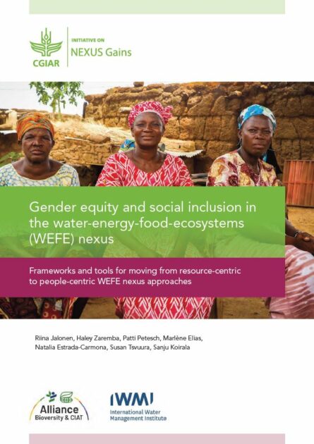 Gender equity and social inclusion in the water-energy-food-ecosystems ...