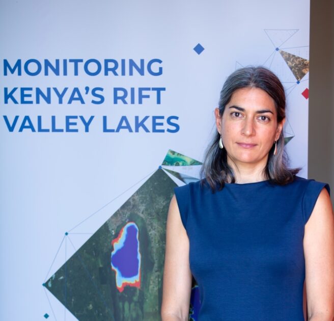 Lisa-Maria Rebelo celebrated as a leader in remote sensing: her advice ...