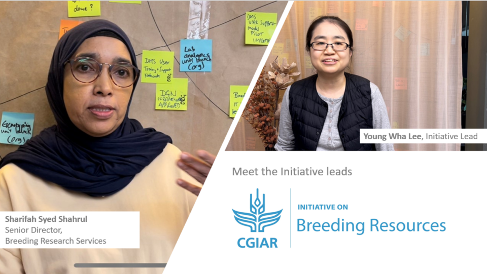 News & Events - CGIAR