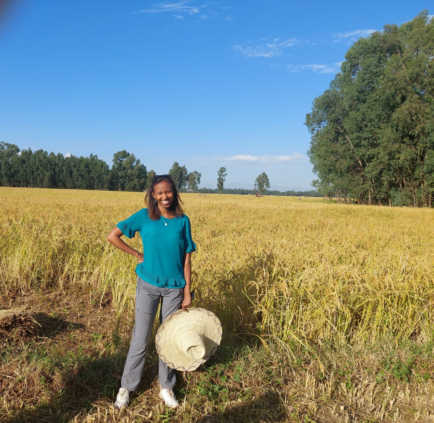 Nexus thinking for sustainable irrigation | CGIAR System