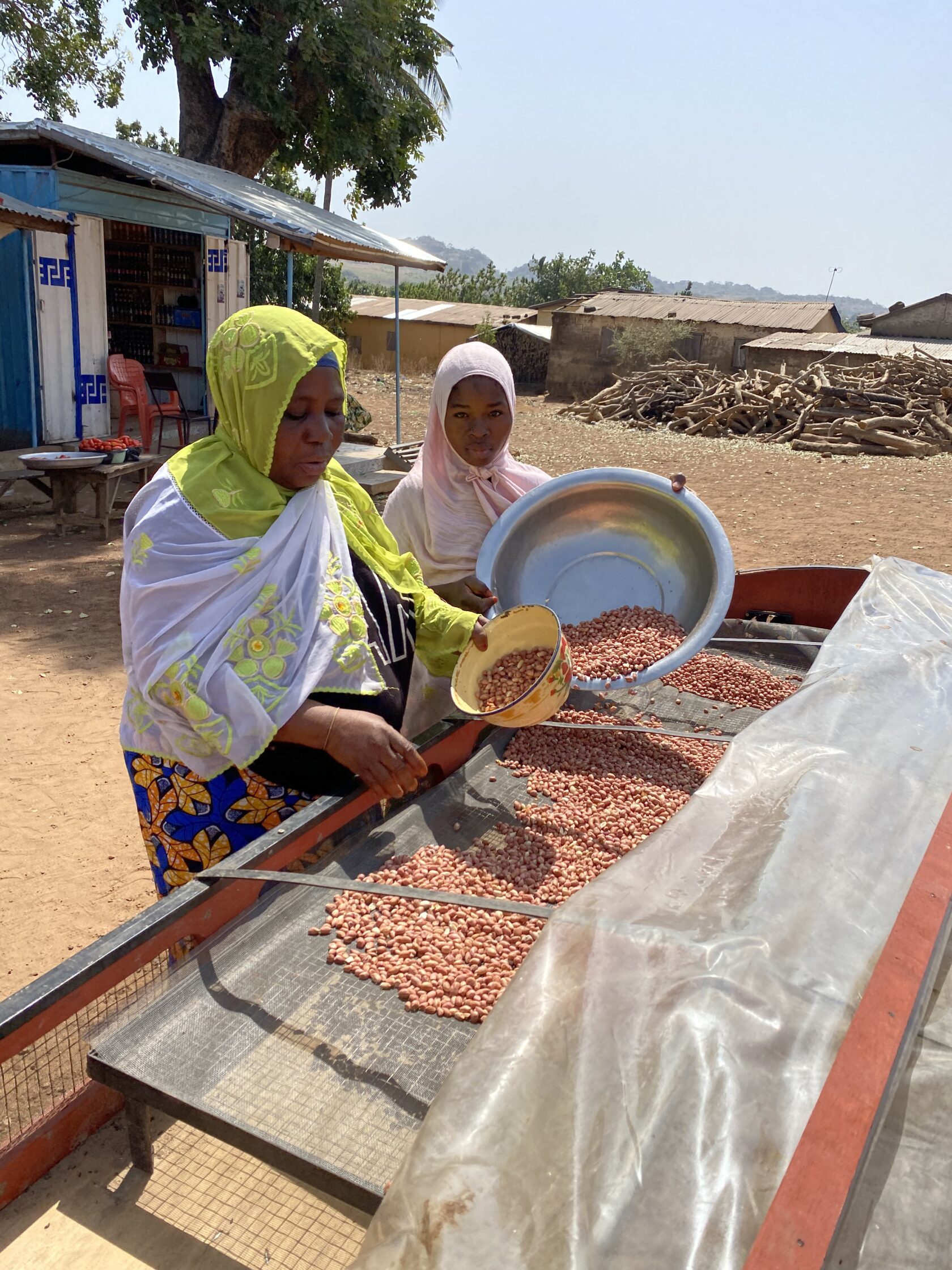 Solar powered dryers boost peanut production in Togo - CGIAR
