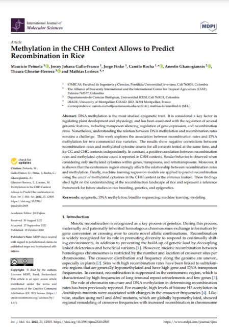 Methylation in the CHH context allows to predict recombination in rice ...