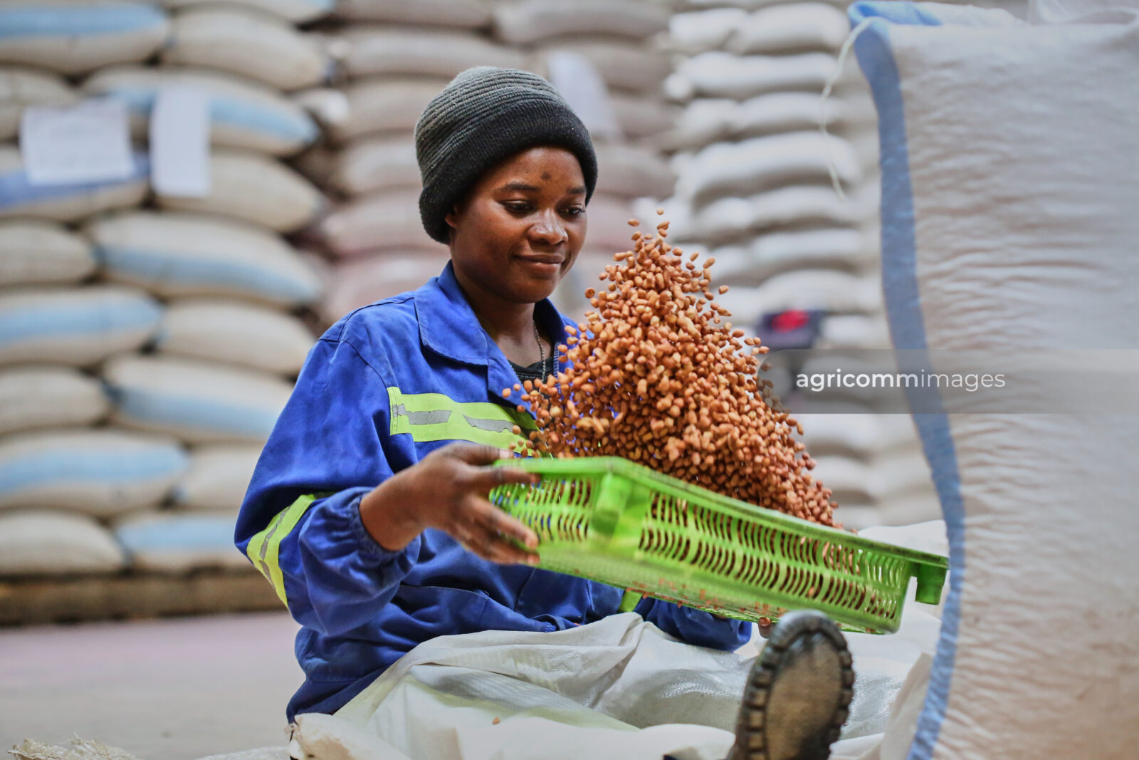 A seed systems success story - CGIAR