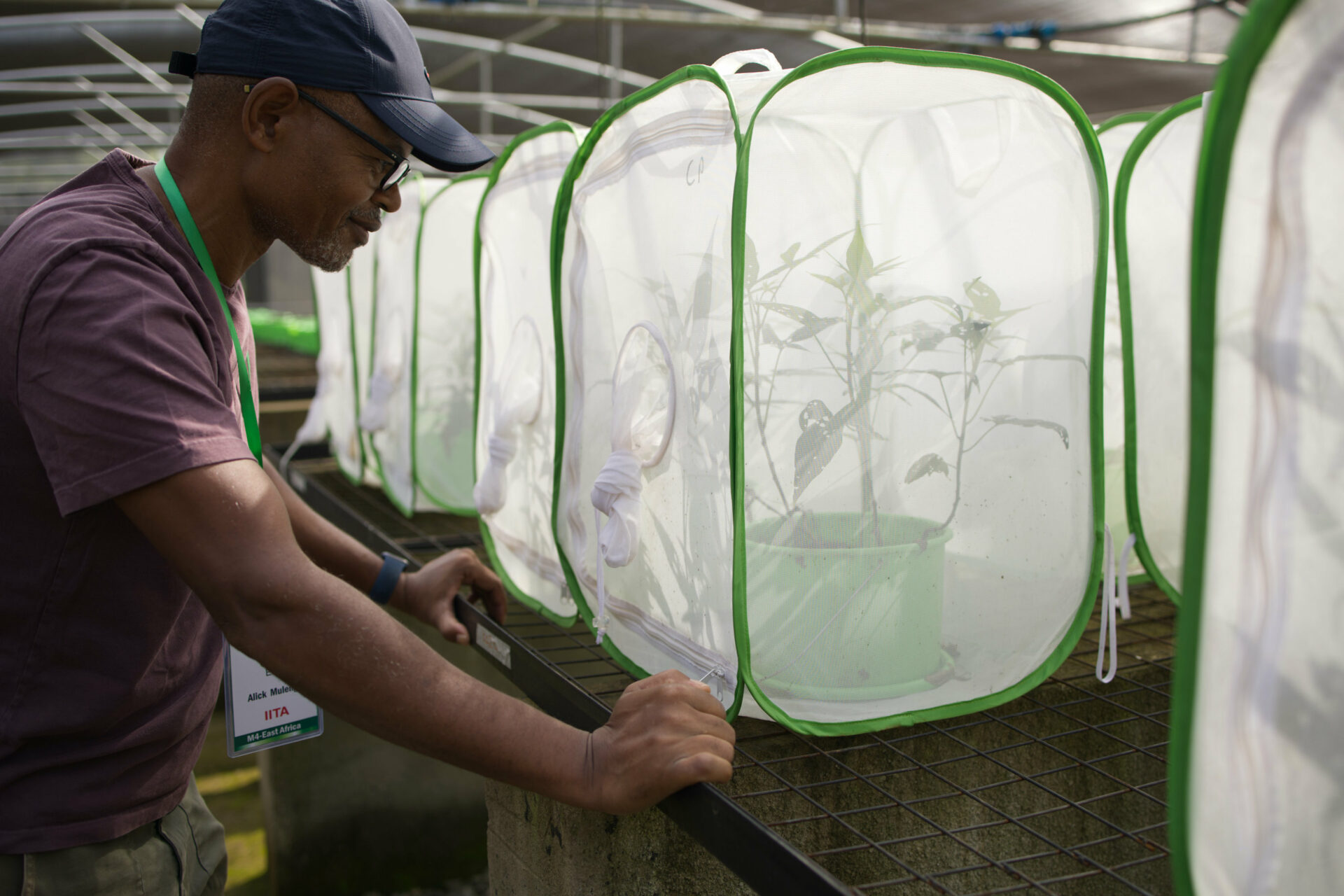 Cultural transformation in CGIAR and national programs drives ...